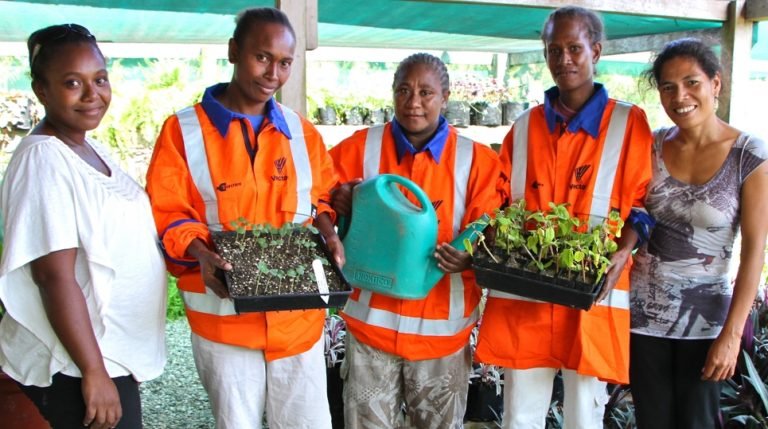 SOLOMON ISLANDS NEEDS TO GROW RICE COMMERCIALLY - Solomon Islands ...