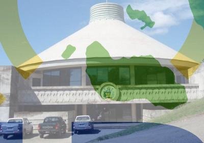 Pillaging people’s Tubi trees - Solomon Islands Broadcasting ...