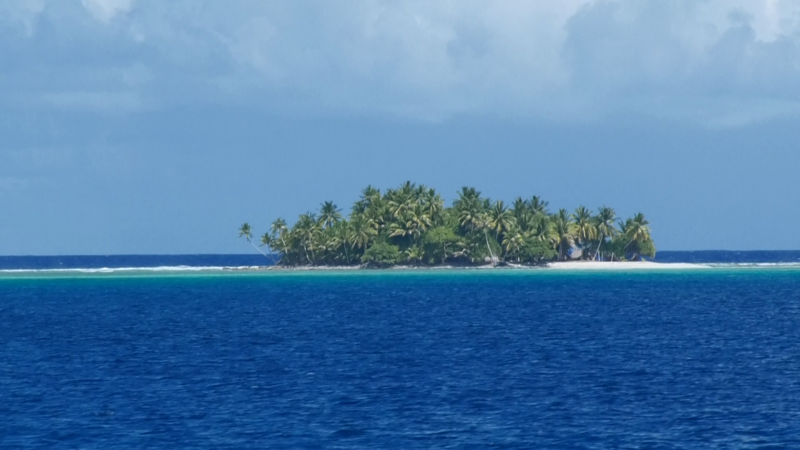 Pillaging people’s Tubi trees - Solomon Islands Broadcasting ...